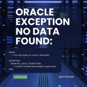 Oracle Exception No Data Found: How to handle ora 01403